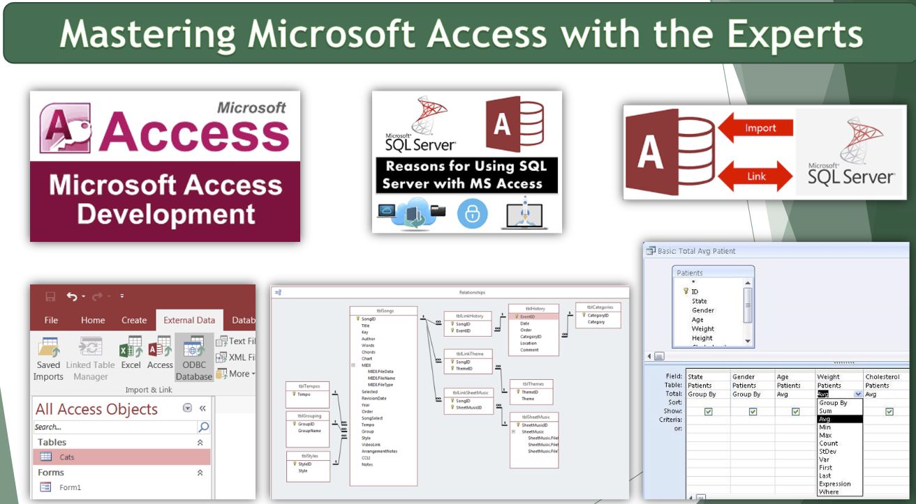 Mastering Microsoft Access with the Experts – Miami Oficios